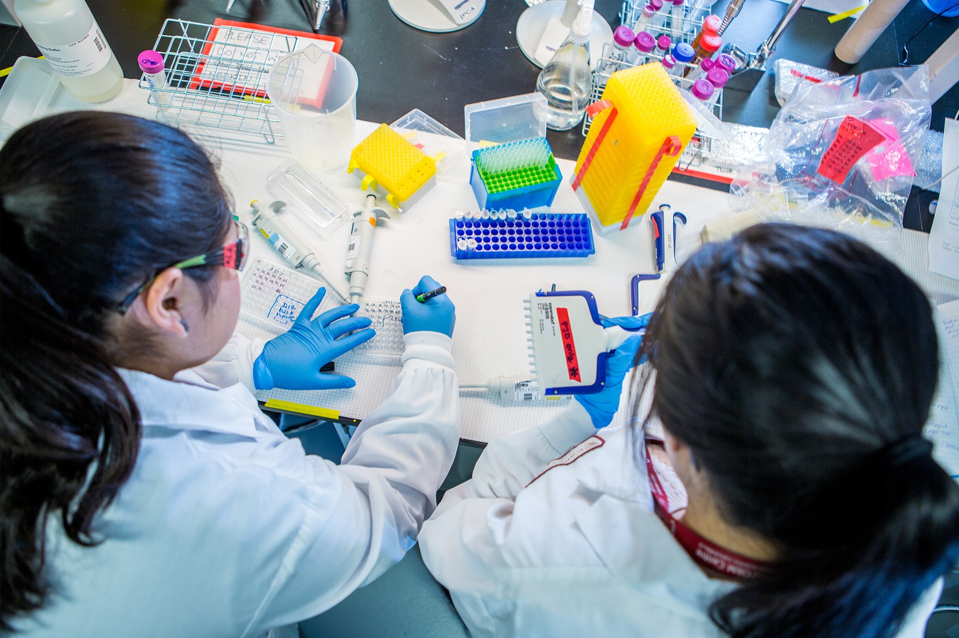 Biology Degree Program (BSc) | Co-Op Option | Undergraduate Admissions ...