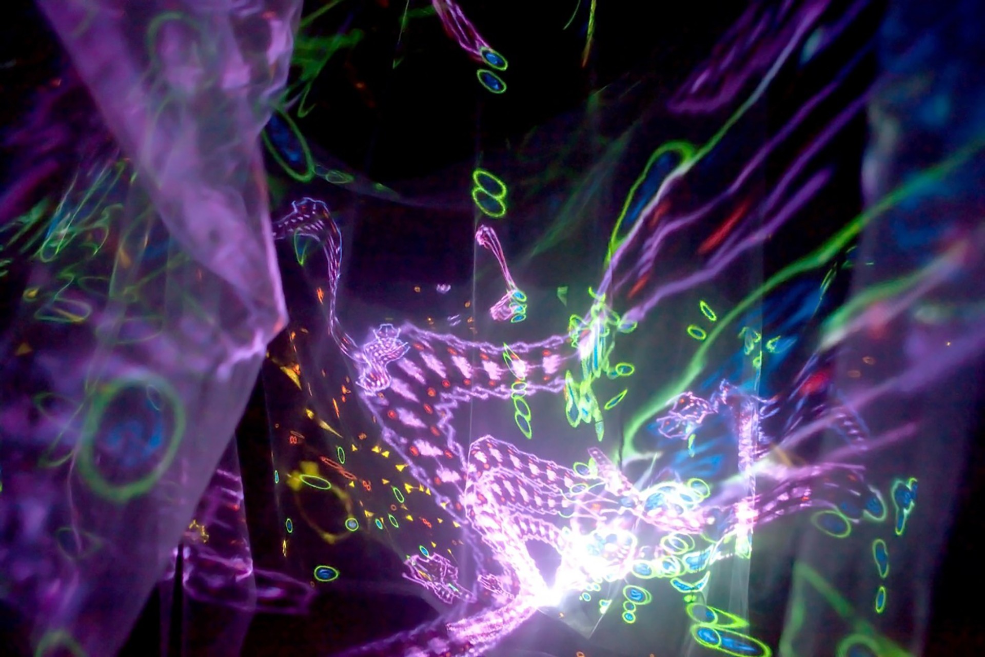 Computation Arts + Computer Science (BFA) | Undergraduate Admissions ...