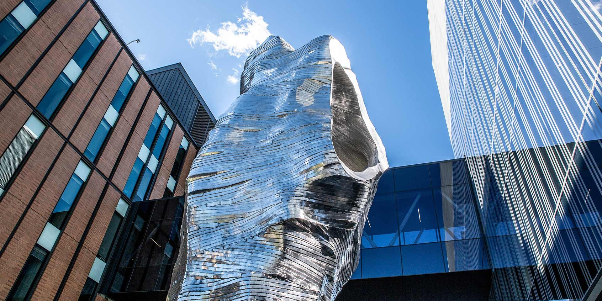 Gina Cody School of Engineering and Computer Science | Alumni & friends ...