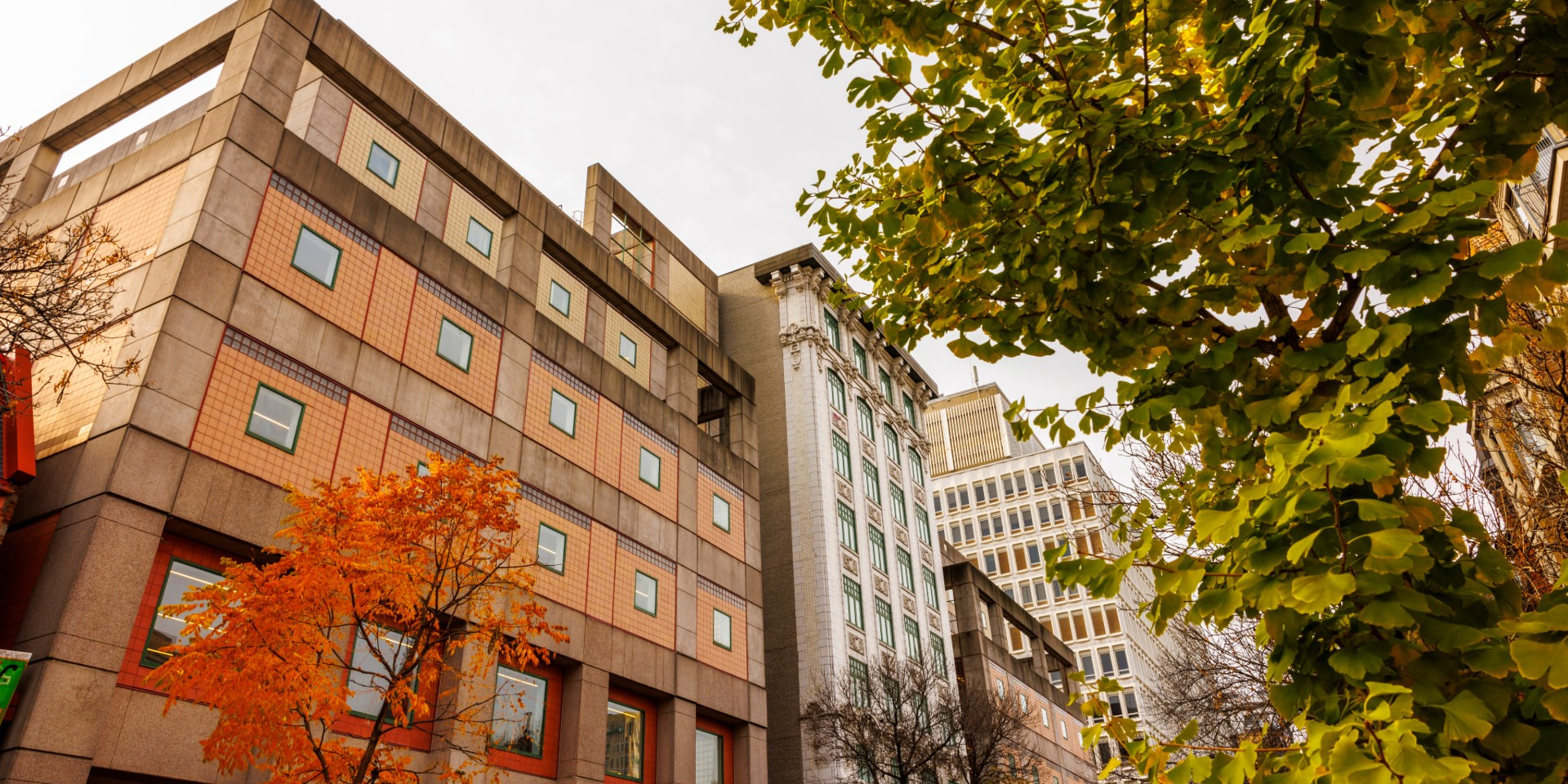 About the department | Department of English - Concordia University
