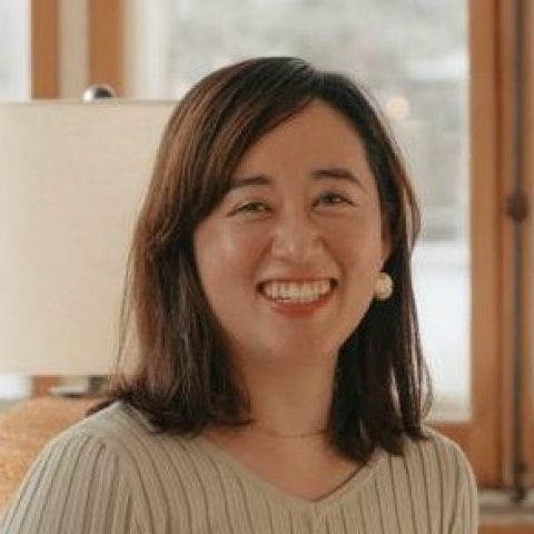 Civic Participation and Democratic Inclusion | Institute for Research ...