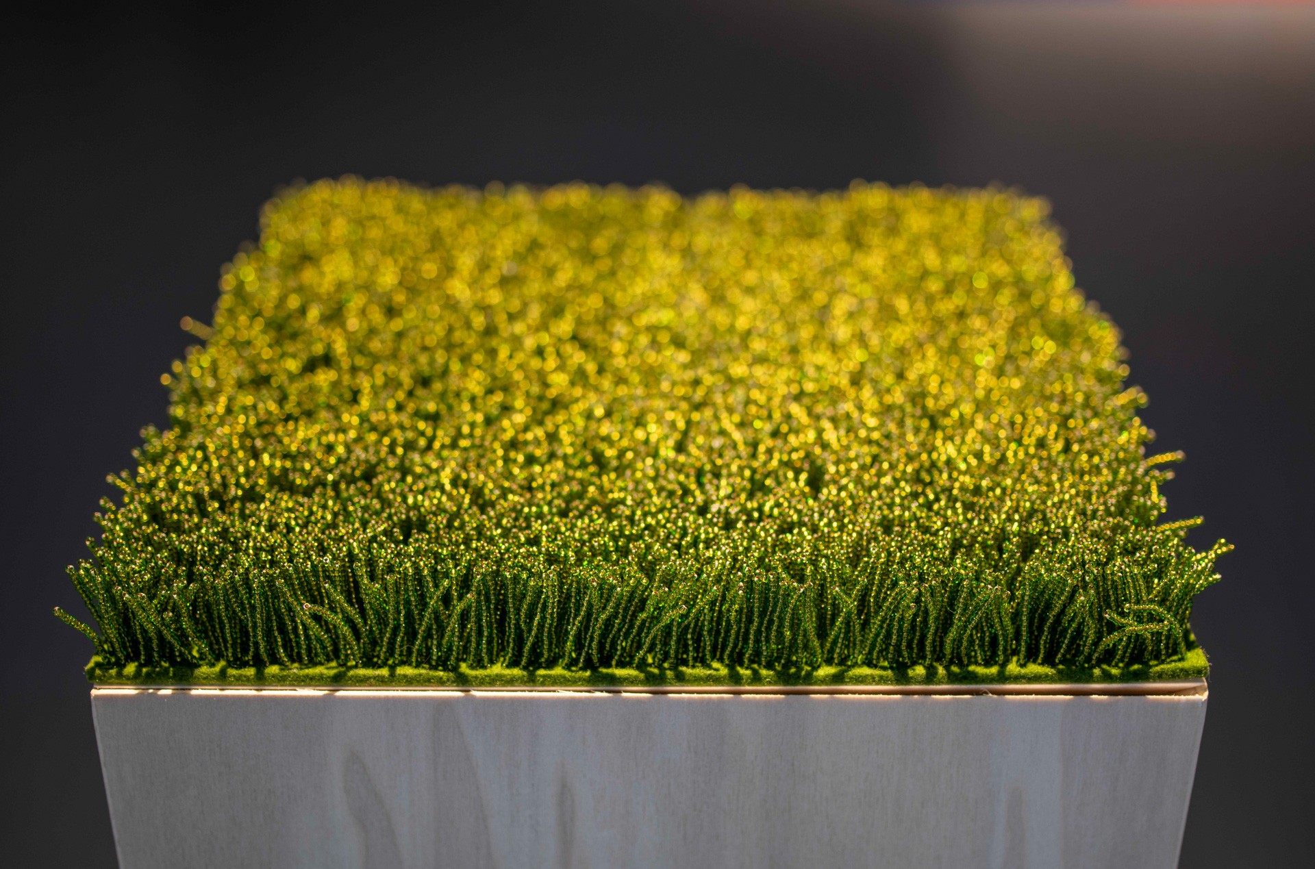 Carrie Allison | FOFA Gallery - Concordia University