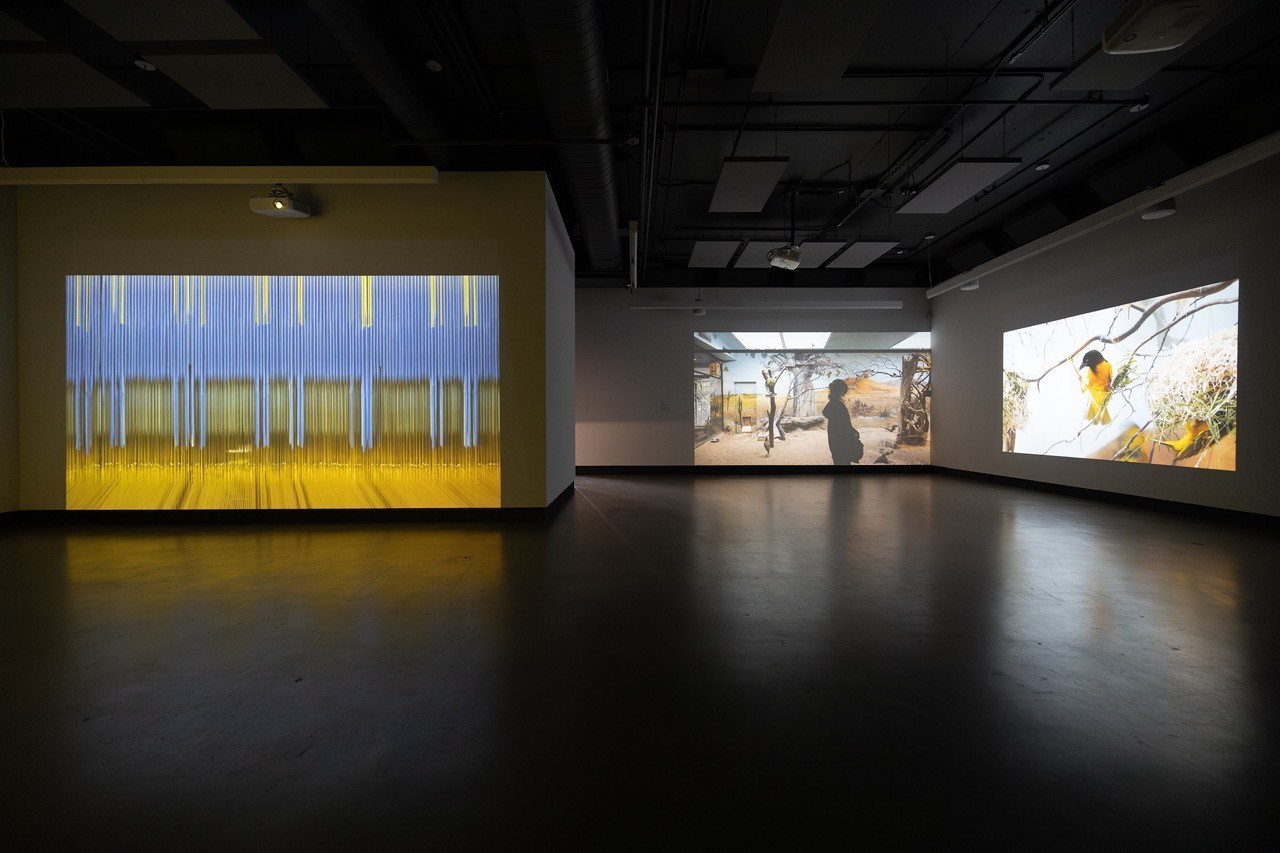 Dazibao - Concordia University