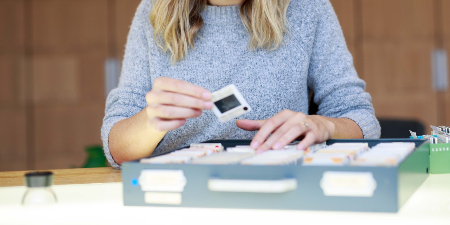 Photographic teaching collection - Concordia University