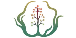 Guidelines on the use of appropriate images to represent Indigenous ...