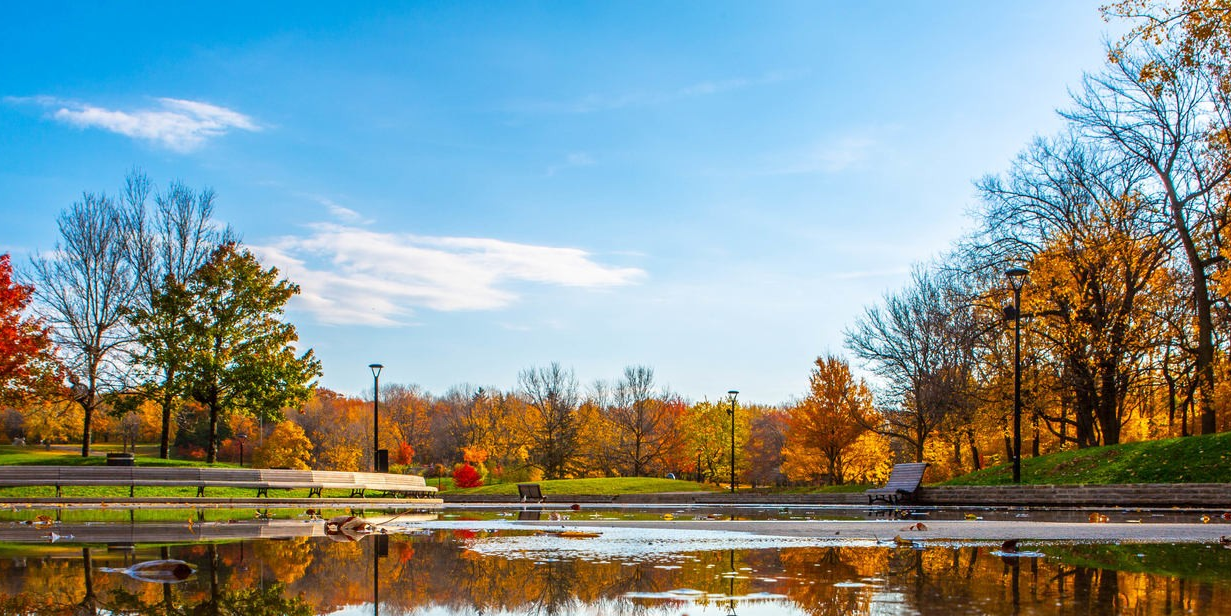 Campus Sustainability Month - Concordia University