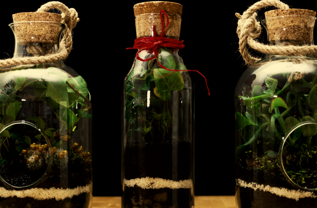 Cultivating Connection in Contained Spaces | Events - Concordia University