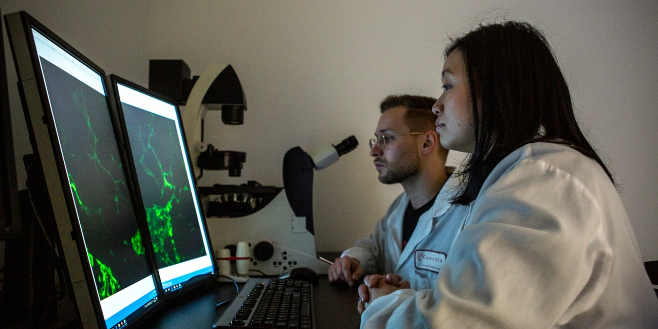 A Closer Look: MON Lab - Concordia University