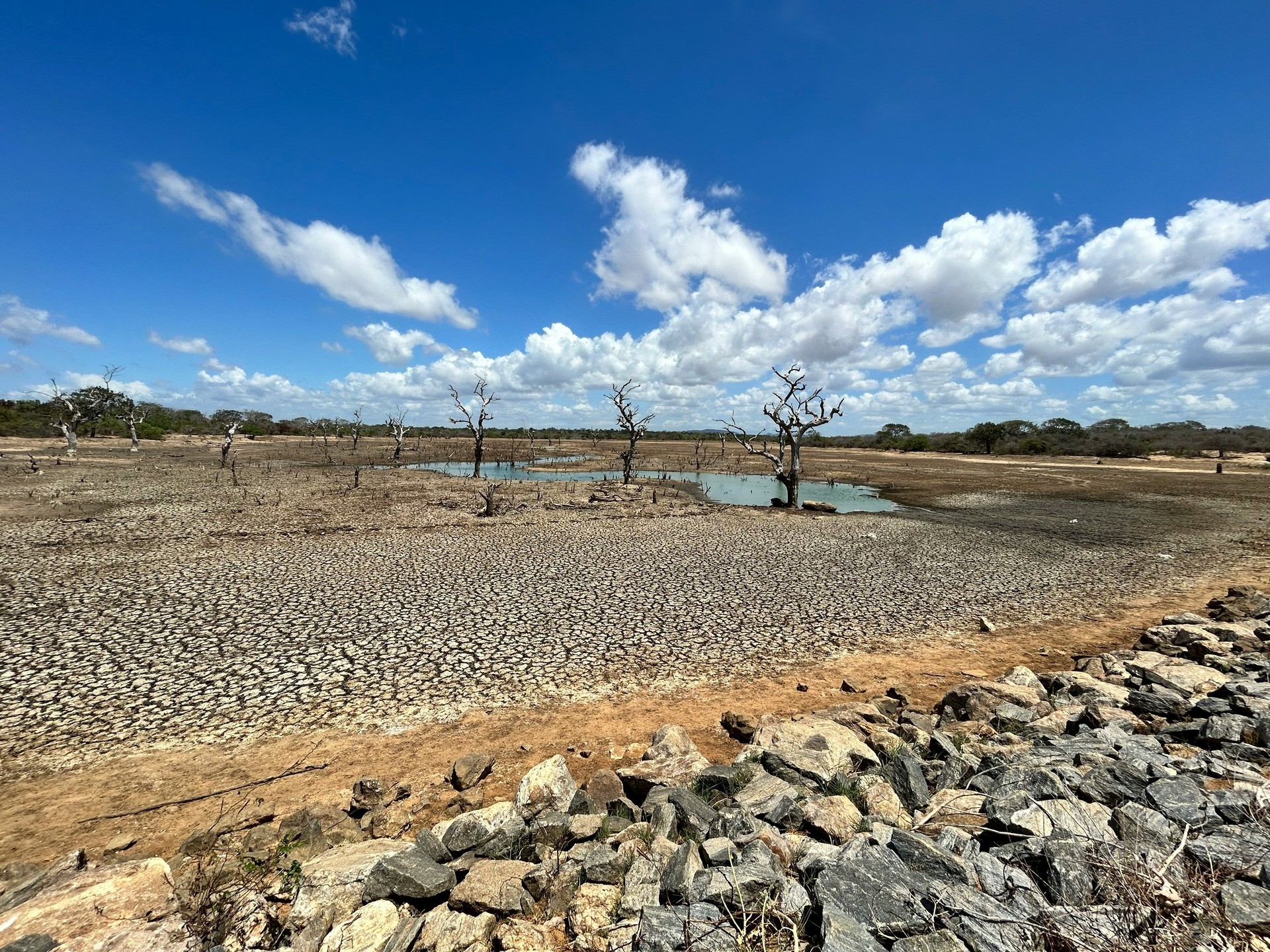 Droughts don’t just dry up water — they drain livelihoods and weaken ...