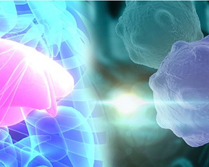 New possibilities for curing cancer | News - Concordia University