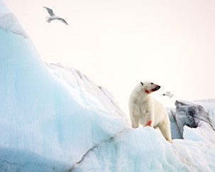 Damon Matthews: 'After the Paris climate deal, change is now up to all ...