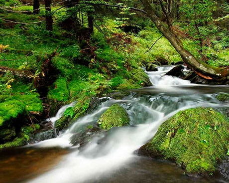 Tackle global water issues with Concordia and the UN | News - Concordia ...