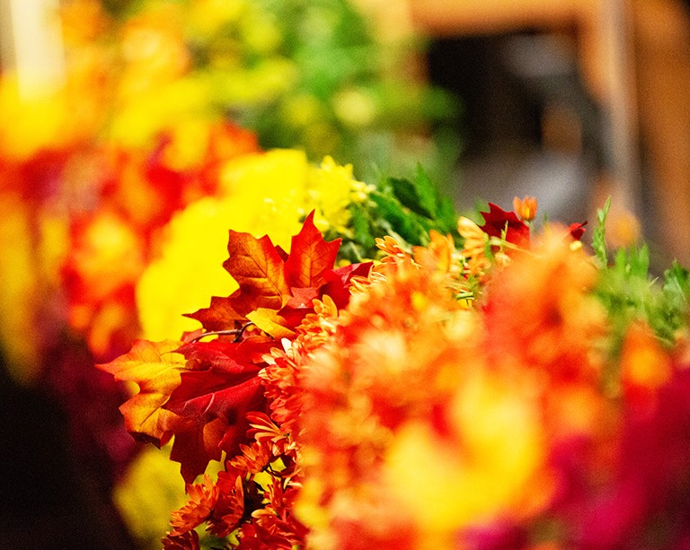 4 ways to celebrate your graduation for spring 2021 | News - Concordia ...