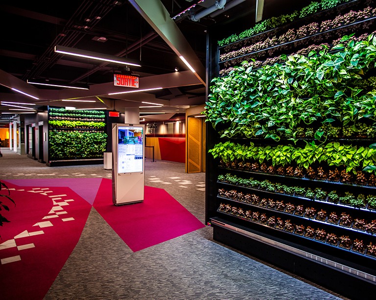 Full reopening on August 16 | News - Concordia University