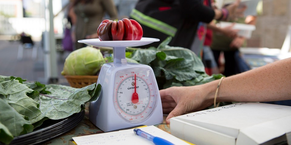 Nutrition and healthy weight - Concordia University