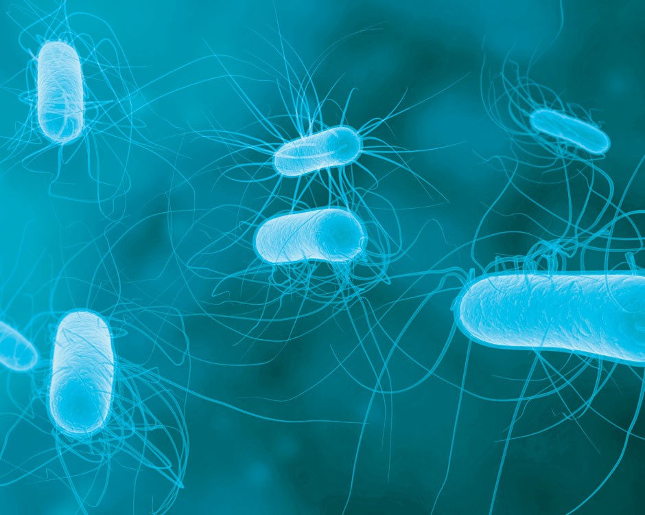 Synthetic solutions for real-life mysteries | News - Concordia University