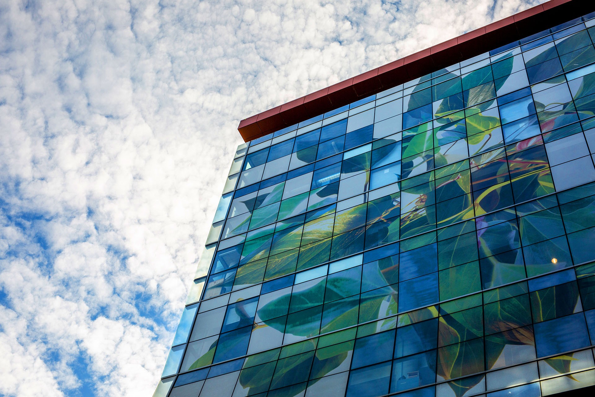 Job opening: research officer - Concordia University