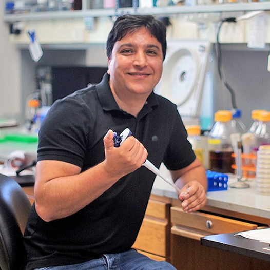 How genome sequencing will make you healthier | News - Concordia University