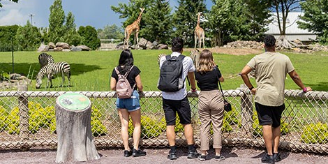 Science at the zoo | News - Concordia University