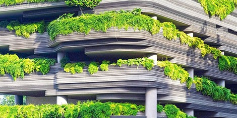 Article: How to create green projects | insights from Concordia's ...