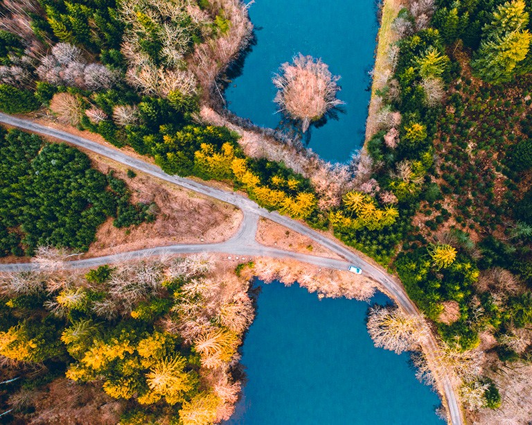 Concordians consider how to unlock the power of AI for nature-based ...