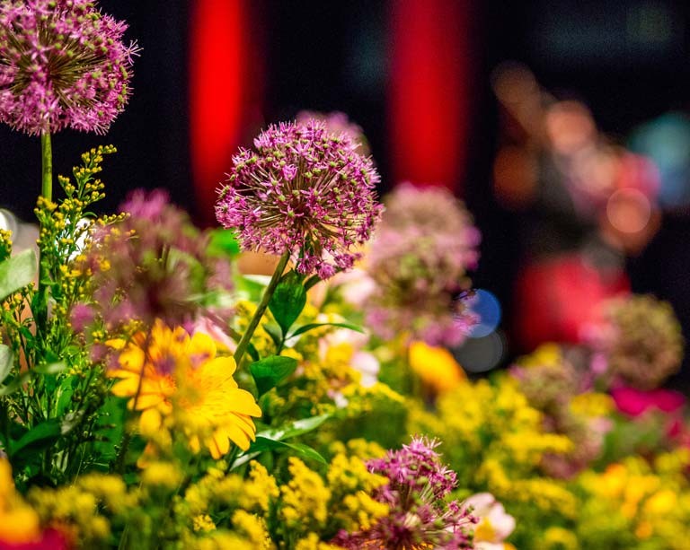 Concordia to recognize 9 honorary doctorates at its spring convocation ...