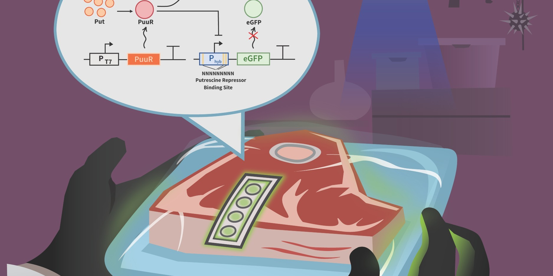 Rotten meat could be easier to detect thanks to new biosensor system ...
