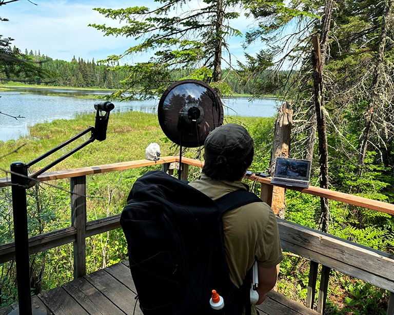 Concordia students create adaptive design projects in collaboration ...