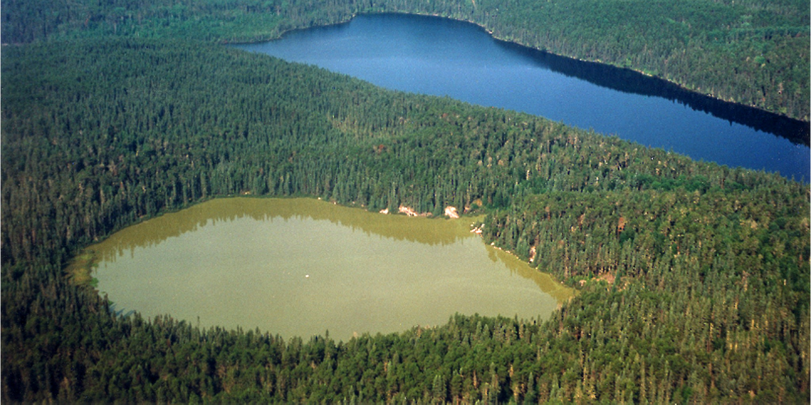 Microbial DNA sequencing reveals nutrient pollution and climate change ...