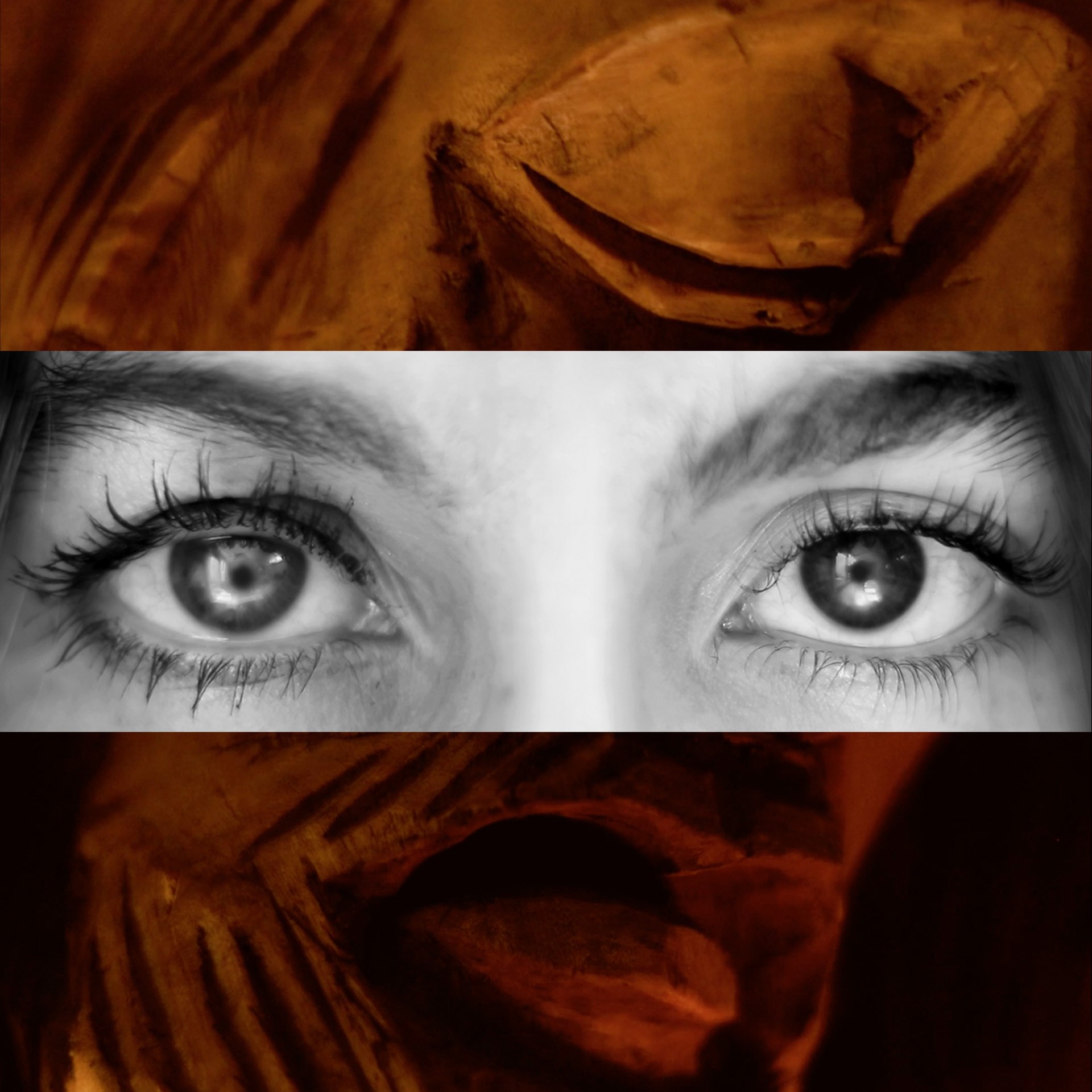 Mariana Rocha - Concordia University