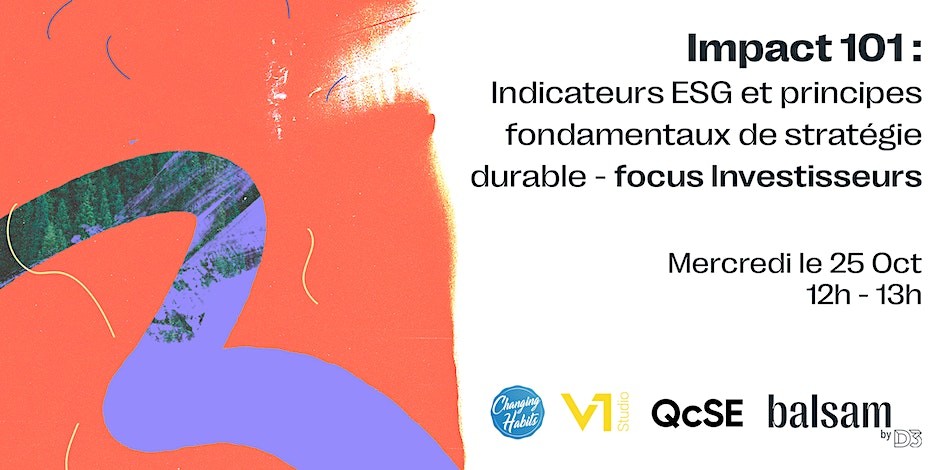 Impact 101 : Indicateurs ESG et principes fondamentaux de stratégie ...