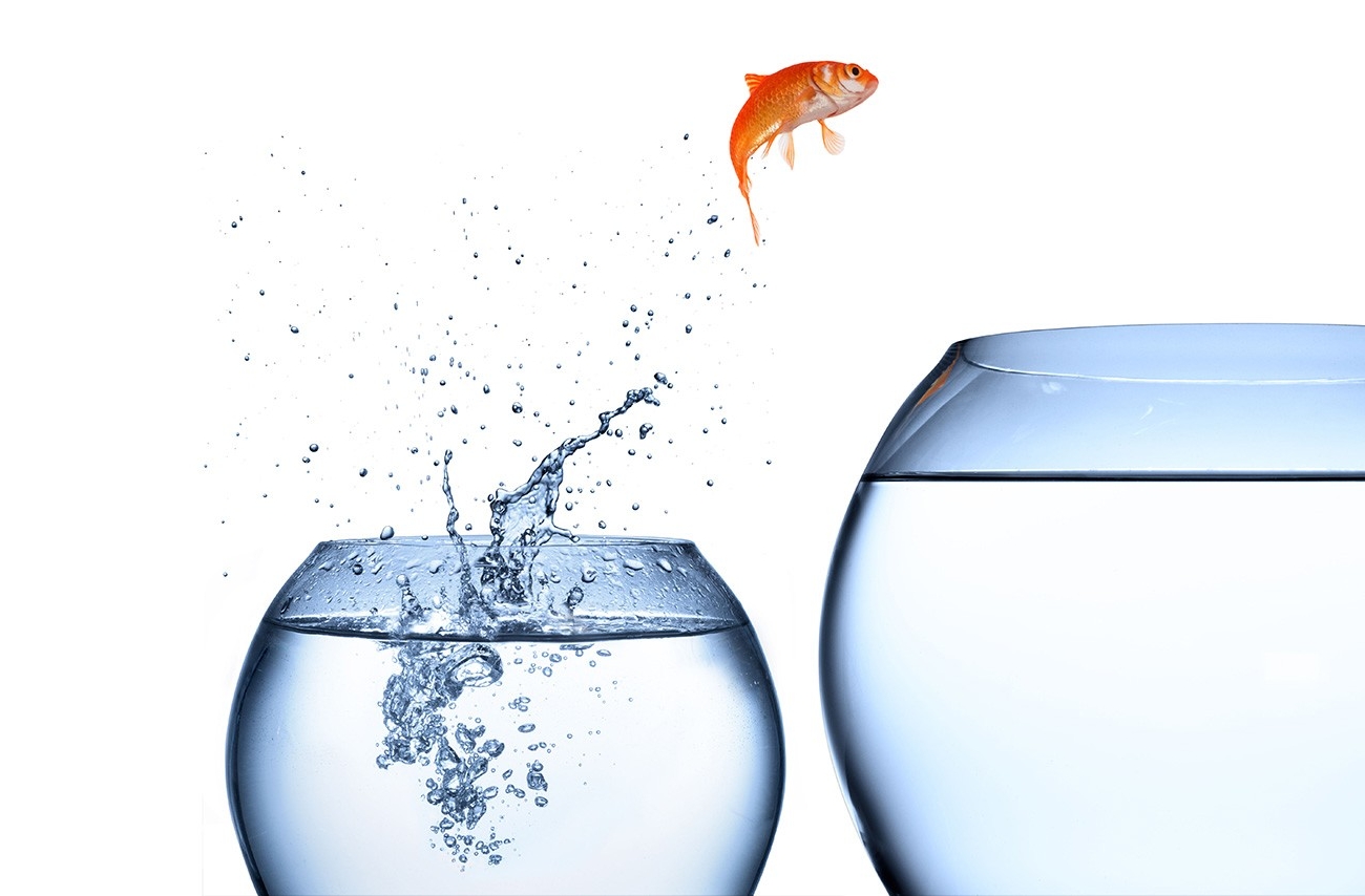 Financial tools for the self-employed | Events - Concordia University