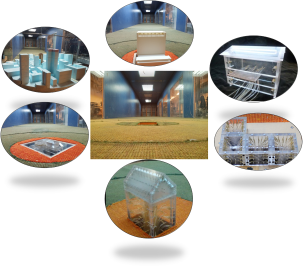 Theodore (Ted) Stathopoulos - Concordia University