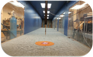 Theodore (Ted) Stathopoulos - Concordia University