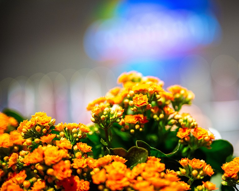 News - Concordia University